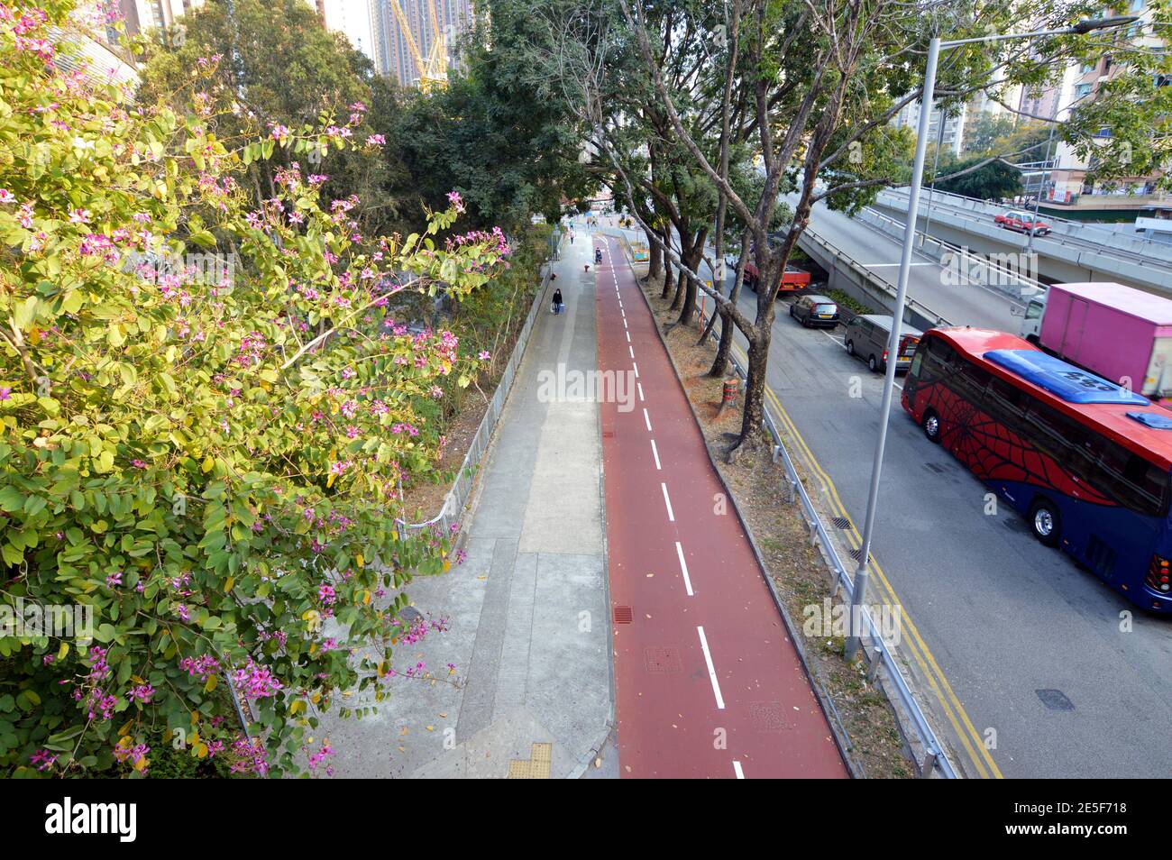 Cycle track and pavement along Long Yip Street, Yuen Long, Hong Kong ...
