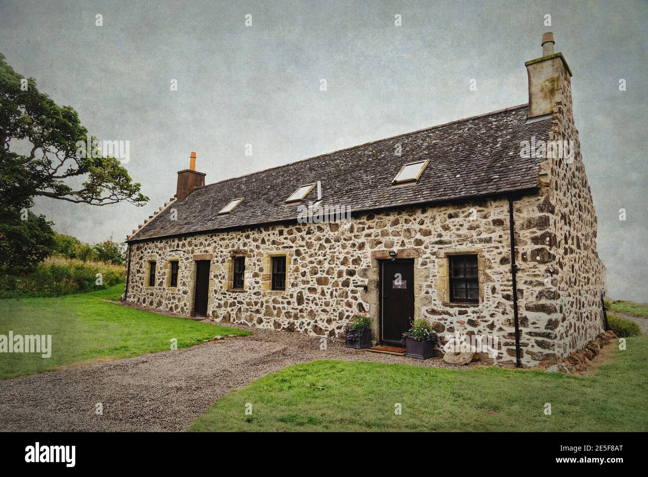 Highland Longhouse - texture Stock Photo - Alamy