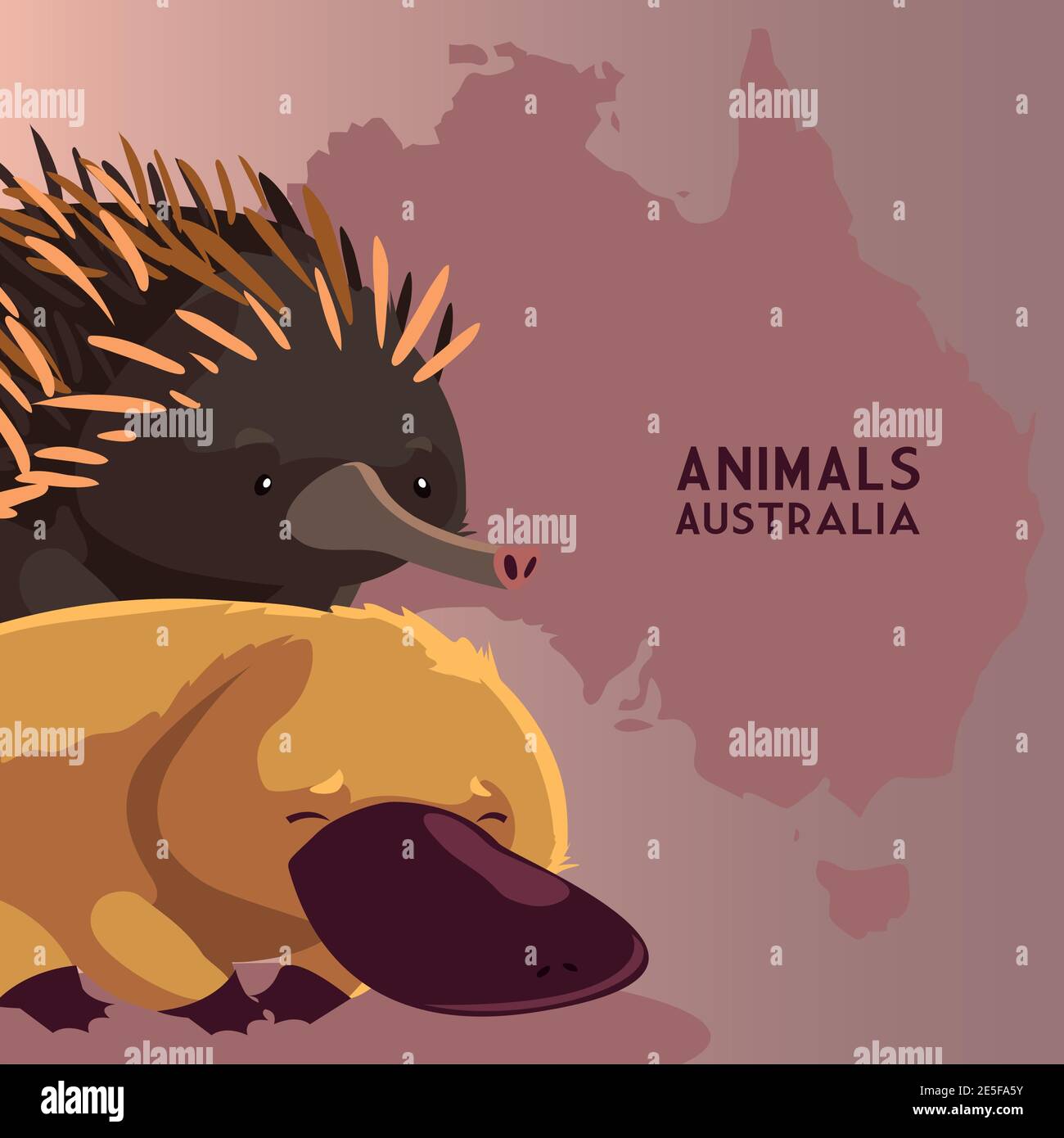 hedgehog and platypus australian continent map animal wildlife vector ...