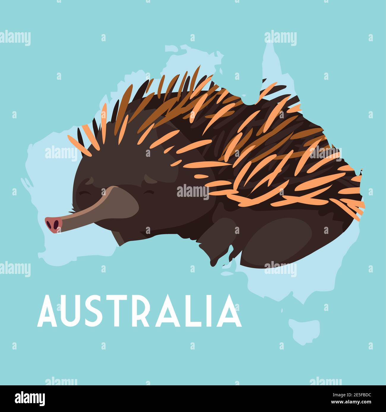 hedgehog australian continent map animal wildlife vector illustration ...