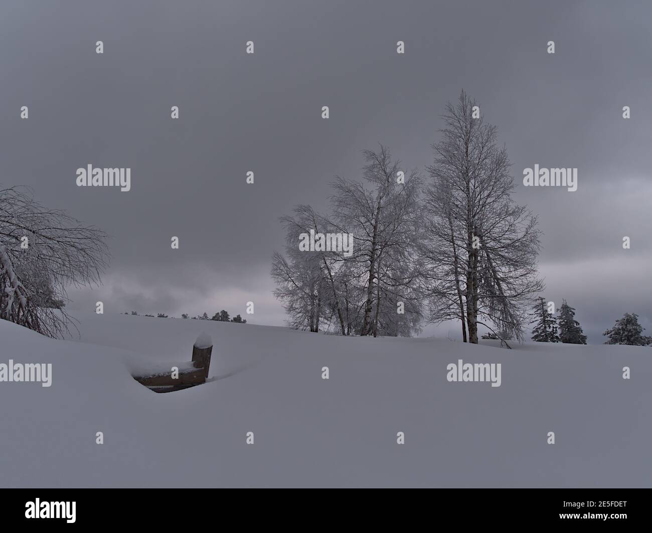 Deep winter landscape hi-res stock photography and images - Alamy