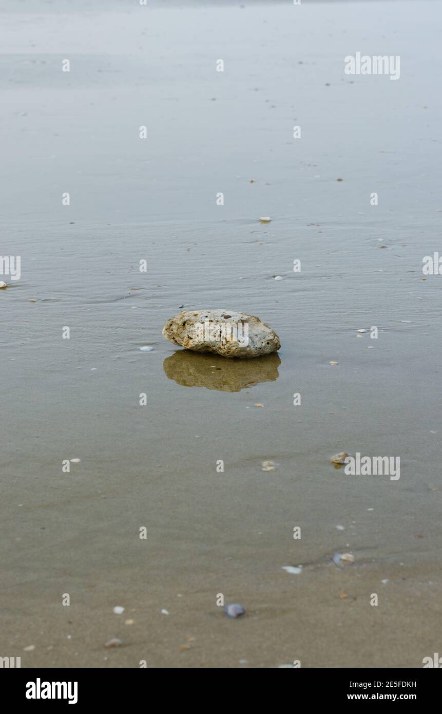 Rock on Sand Beach and Sea Water for Natural Background Stock Photo - Alamy