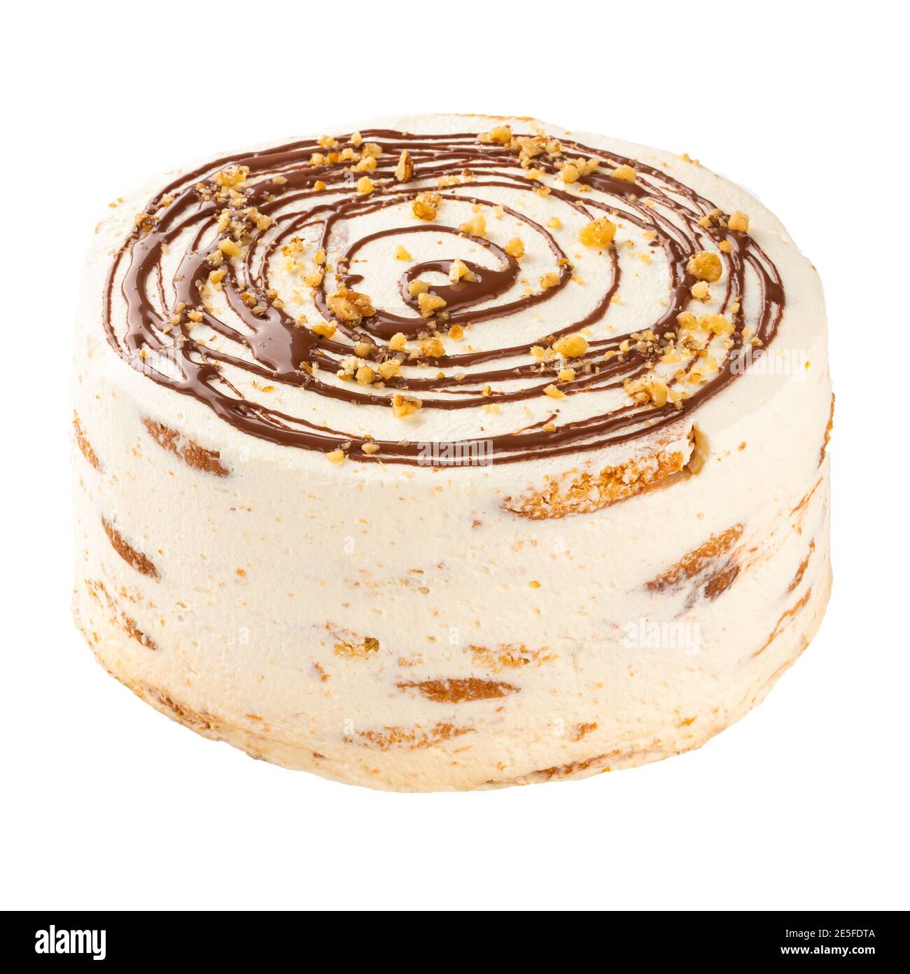 Isolated turtle cake with chocolate syrup on white Stock Photo - Alamy