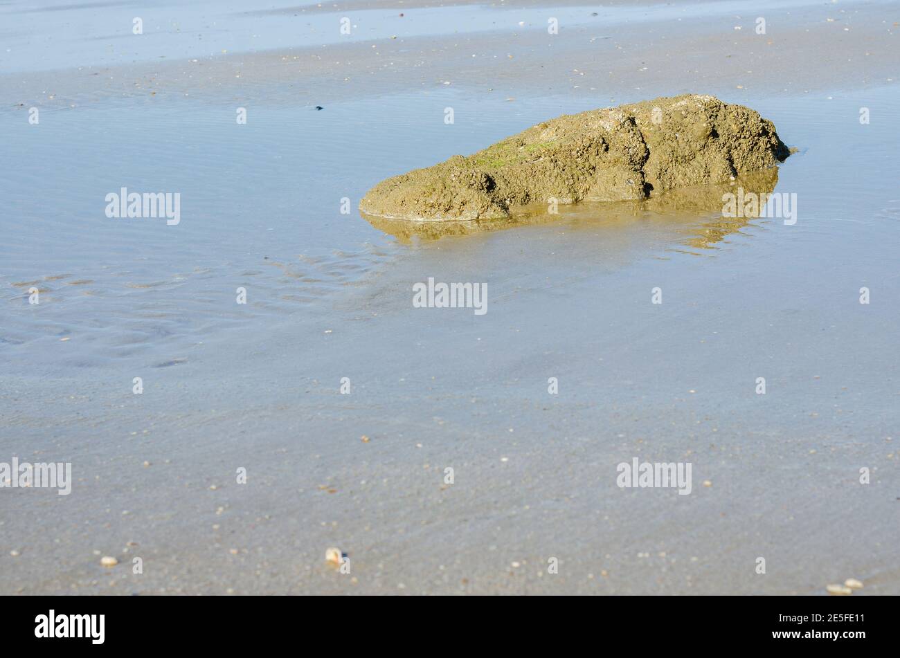Rock on Sand Beach and Sea Water for Natural Background Stock Photo - Alamy