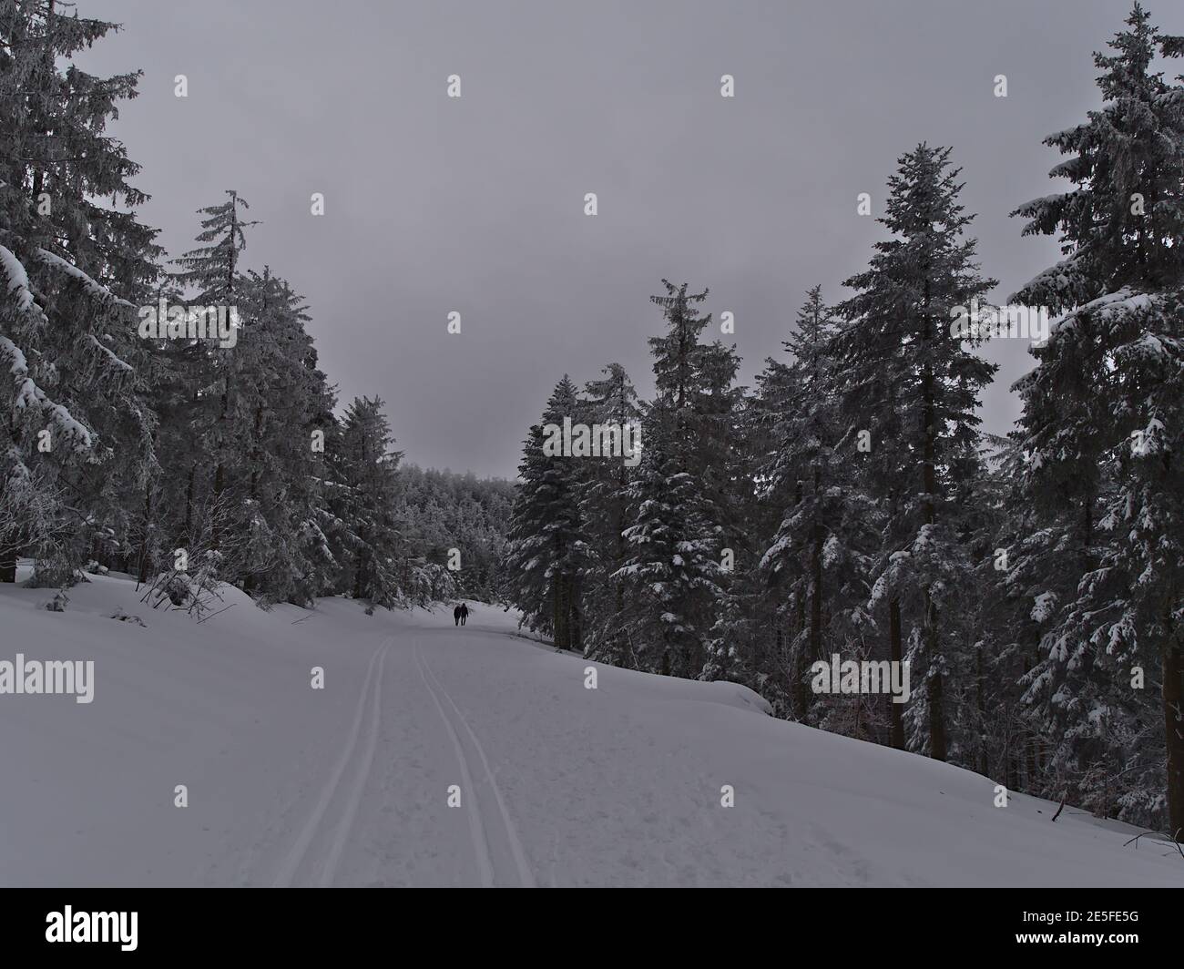 Beautiful frozen people hi-res stock photography and images - Alamy