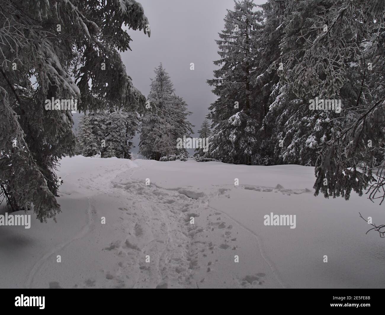 Covered in footprints hi-res stock photography and images - Alamy