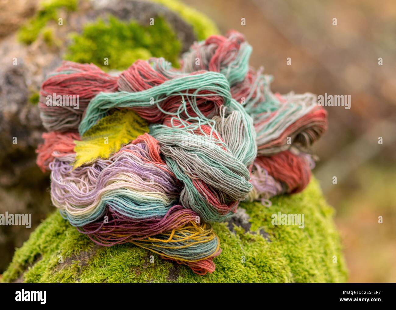 stones overgrown with green moss, colored wool yarn skeins, handicraft ...