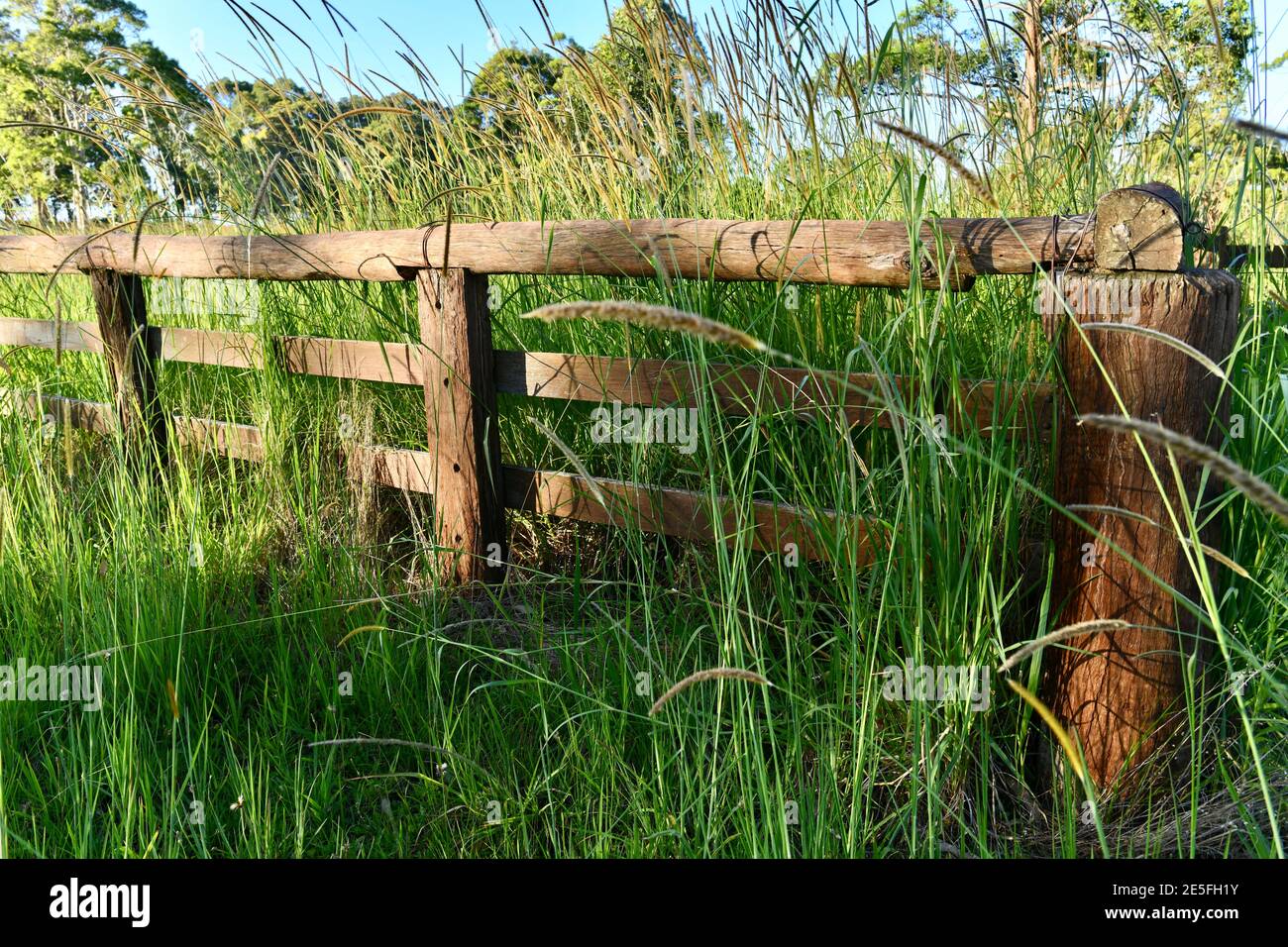 Sunlit sunlight sunshine sunny hi-res stock photography and images - Alamy