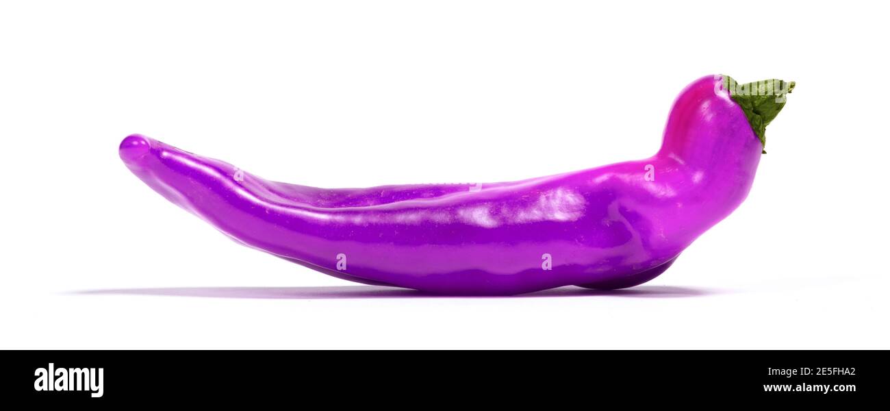 Unnatural purple sweet pointed pepper, isolated on white background ...