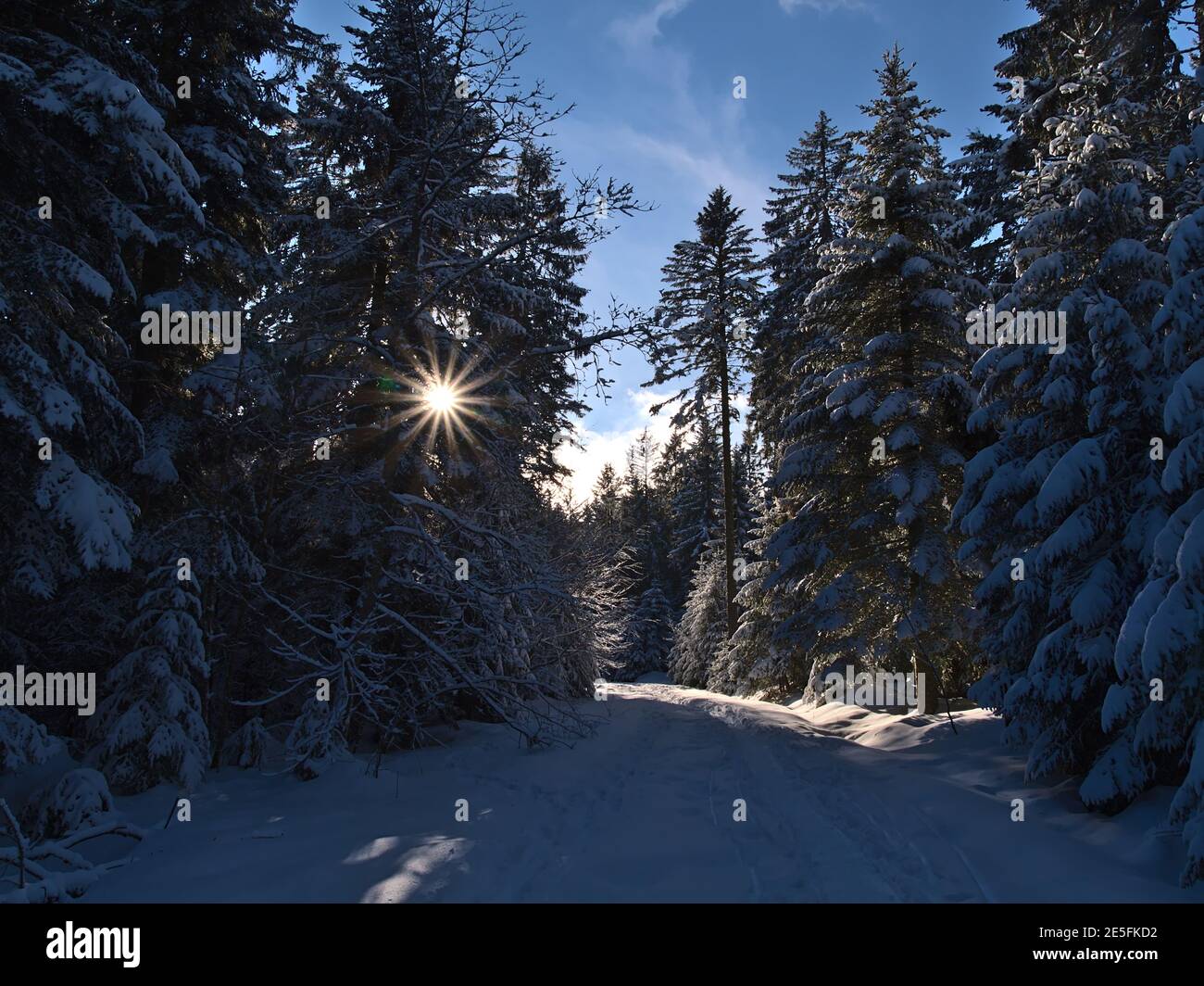 Shining path hi-res stock photography and images - Alamy