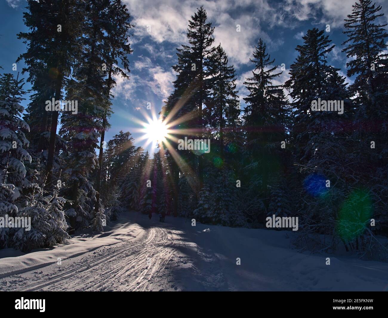 Lens flares hi-res stock photography and images - Alamy