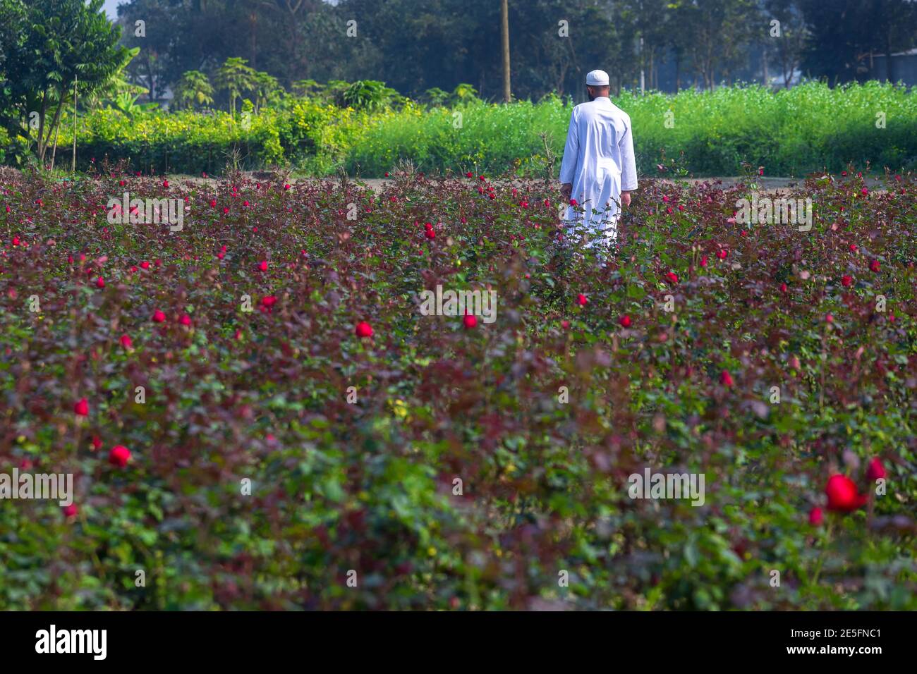 Bangladesh – February 06, 2020: A Muslim man is searching for a better ...