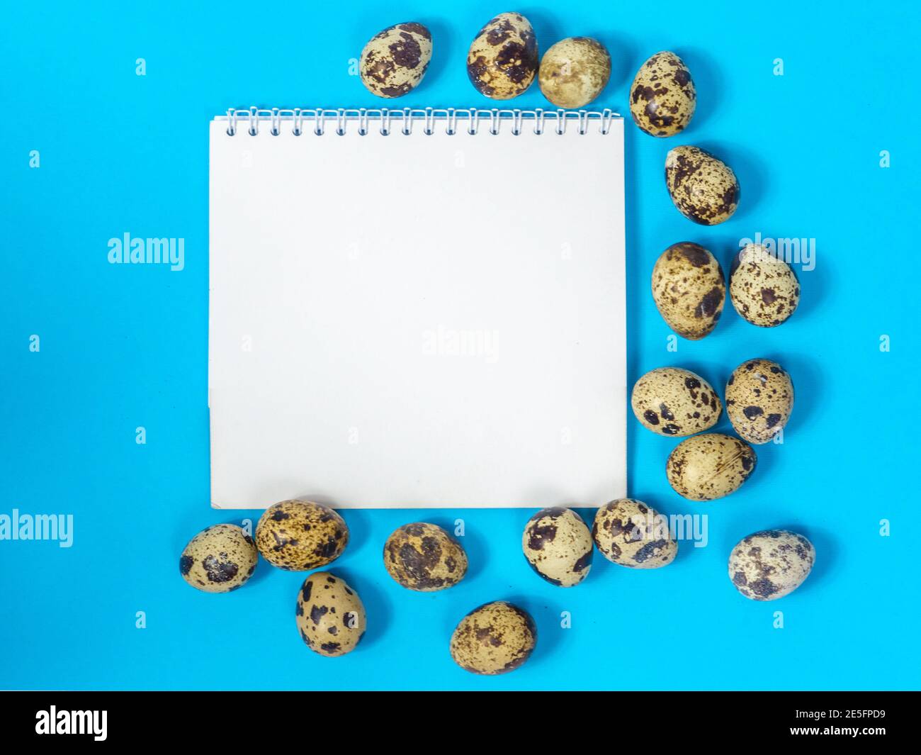 A Blank Sheet Of Paper Surrounded By Quail Eggs On A Blue Background a-blank-sheet-of-paper-surrounded-by-quail-eggs-on-a-blue-background