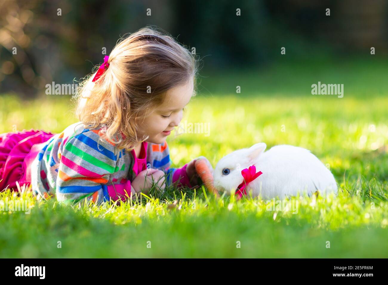 Child playing with white rabbit. Little girl feeding and petting white ...