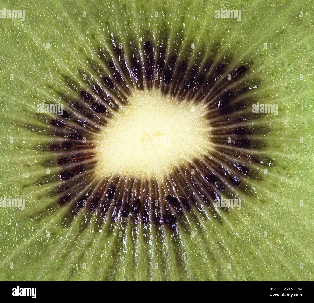 Juicy macro picture of kiwi fruit cut in half Stock Photo - Alamy