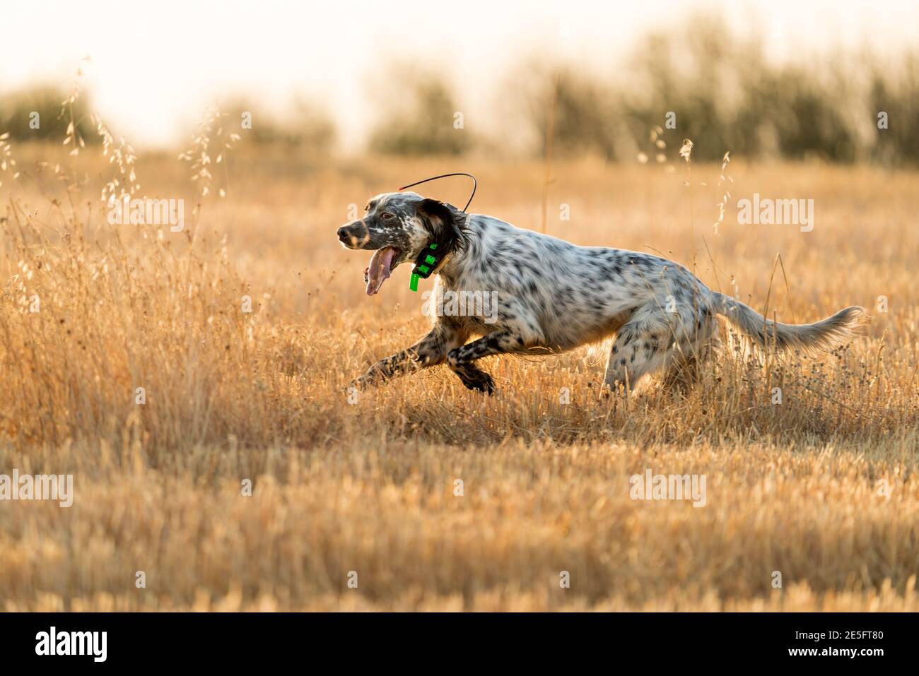 Resolutely hi-res stock photography and images - Alamy