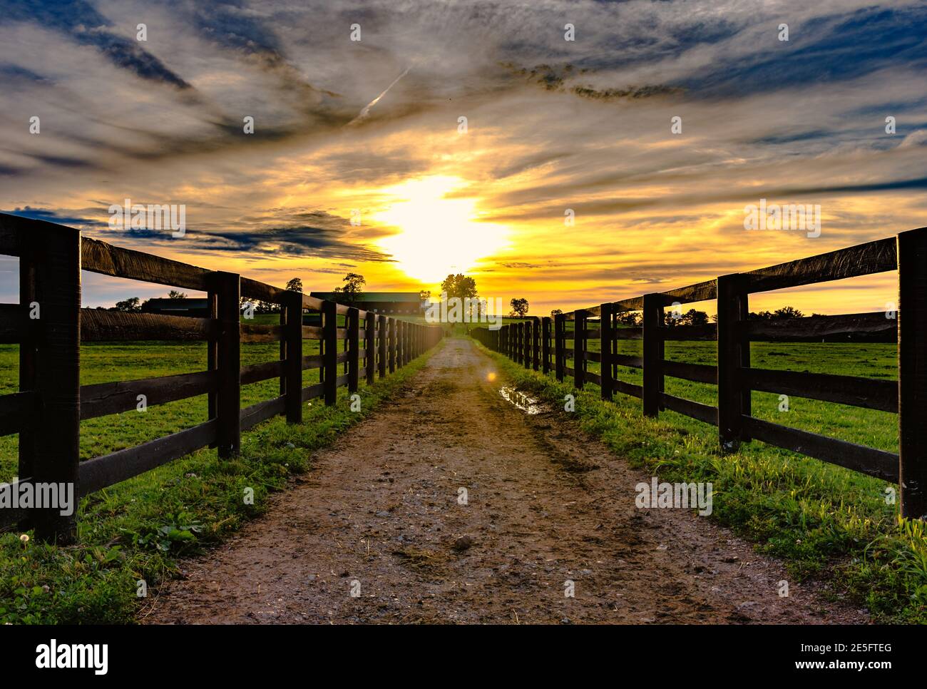 Country Dirt Road Background