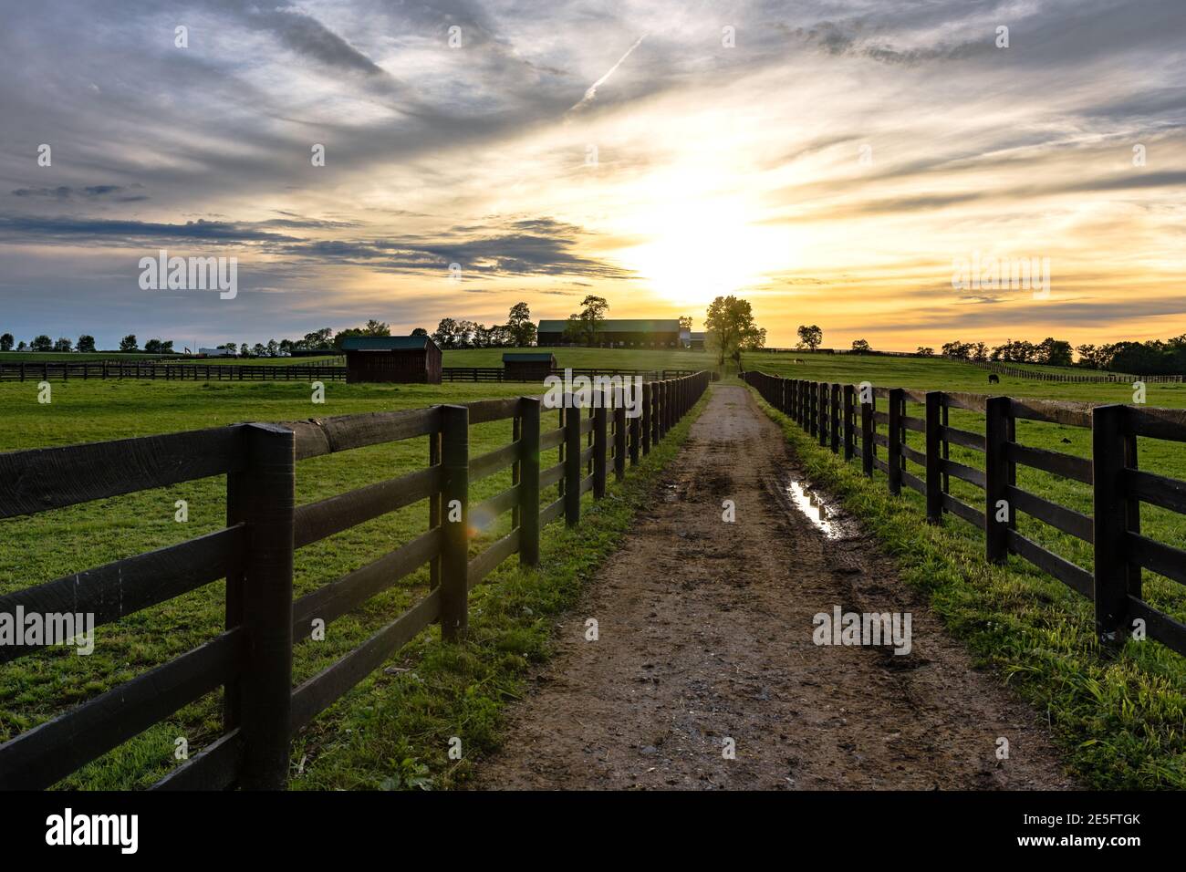 Country lane between pastures on a Kentucky horse farm at sunset with ...