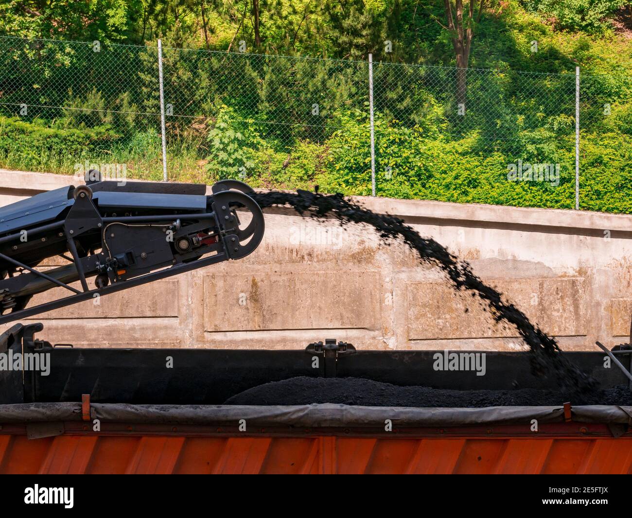 Milling machine removes old asphalt from the road and transports it to ...
