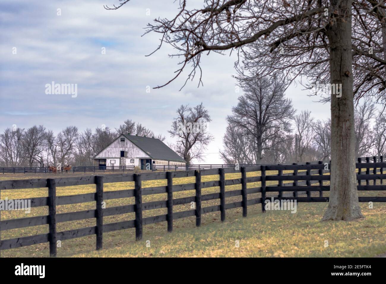 Landscape of a typical horse farm in Lexington, Kentucky Stock Photo ...