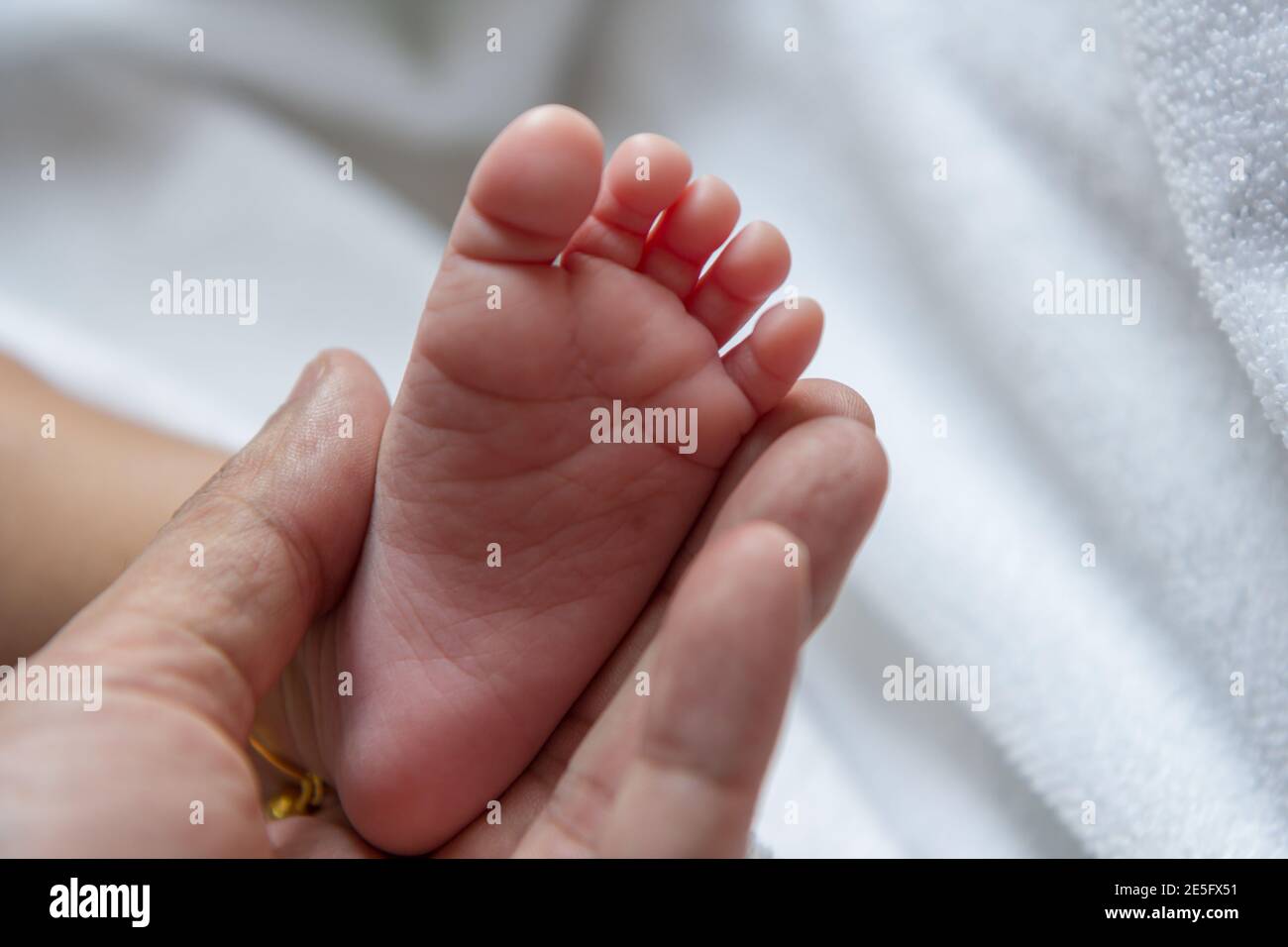 Newborn baby's feet Stock Photo - Alamy
