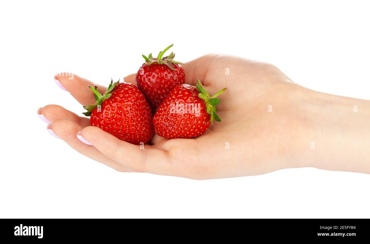 hand holding a strawberry isolated on white background Stock Photo - Alamy
