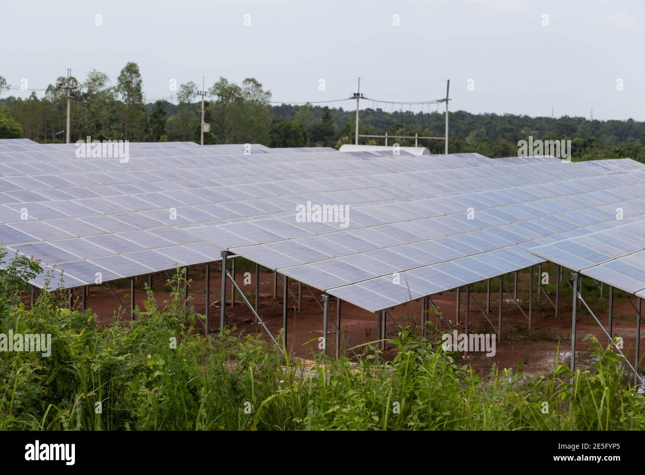Solar energy panels ,Solar farm Stock Photo - Alamy