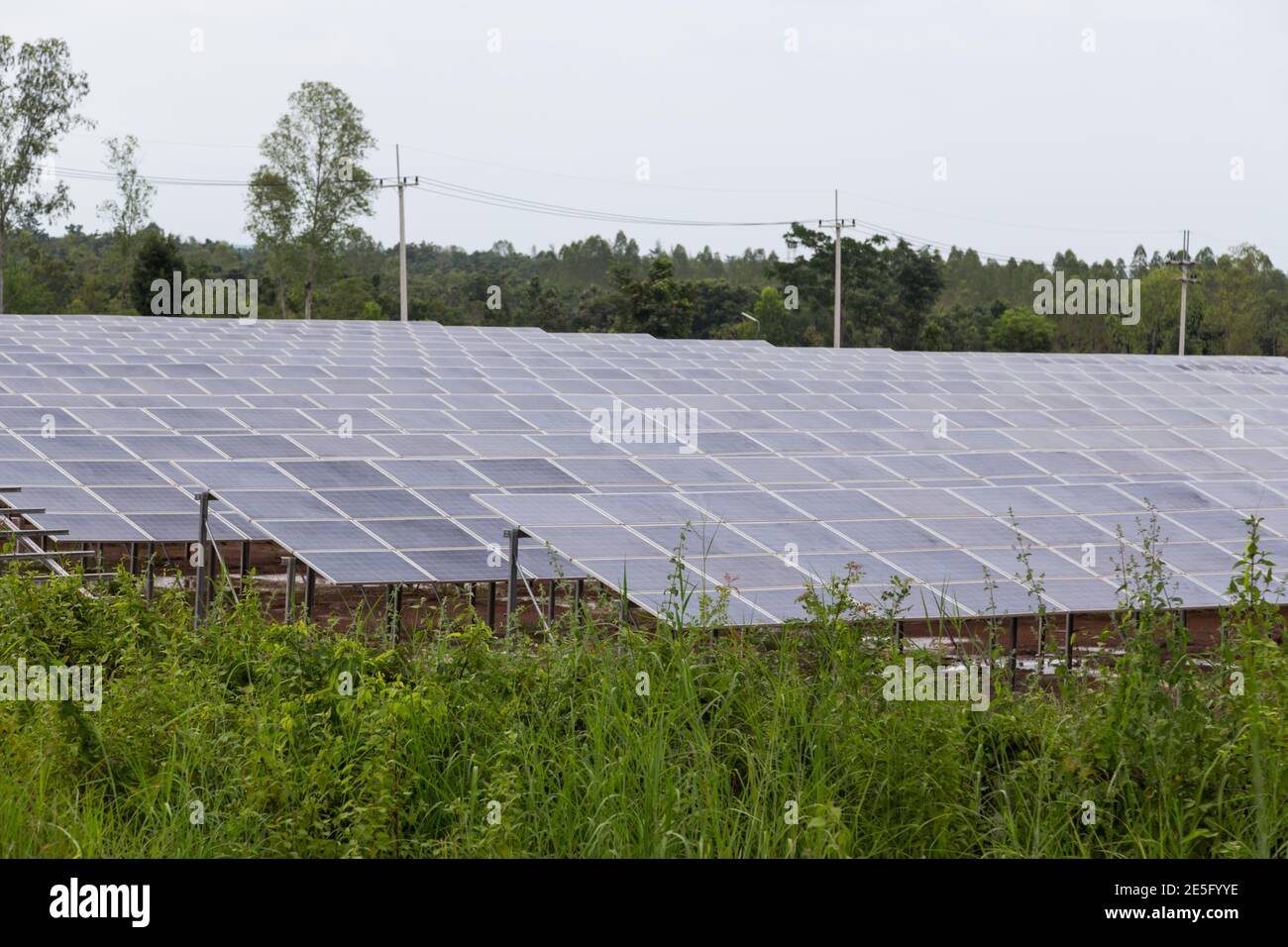 Solar energy panels ,Solar farm Stock Photo - Alamy