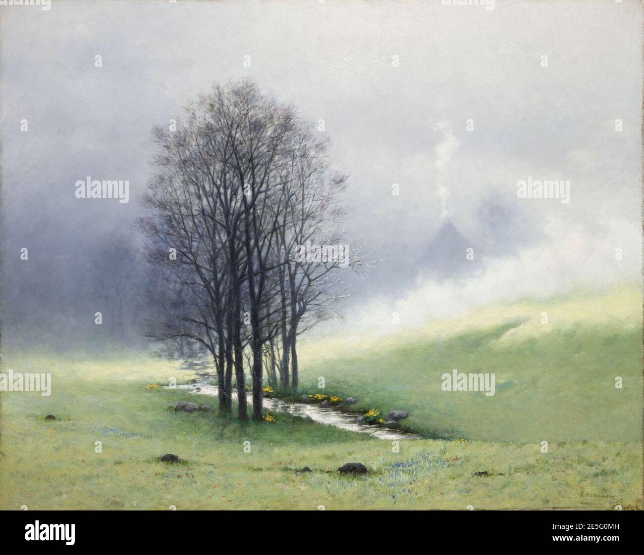 Wiosenna hi-res stock photography and images - Alamy