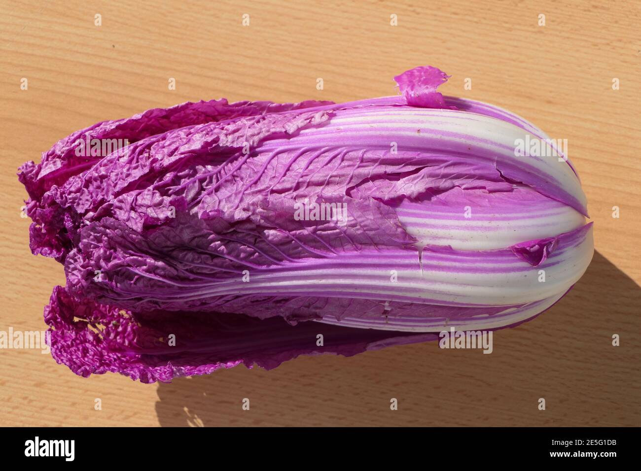 Lilac chinese cabbage, or napa cabbage, on wooden base to cut as ...