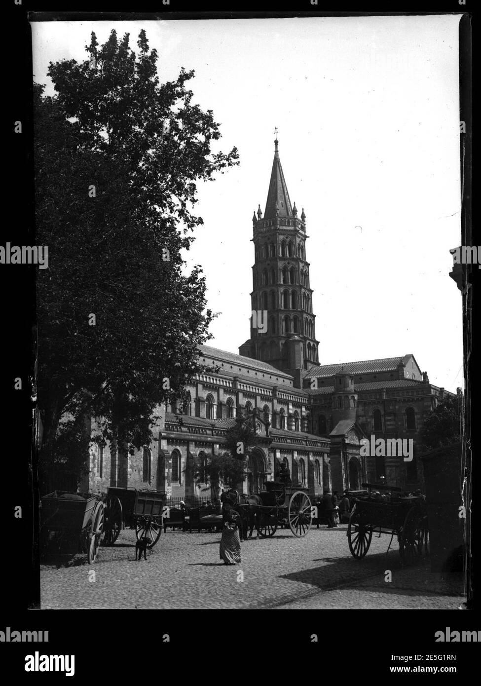 MHNT PHa 912 T214 Stock Photo - Alamy