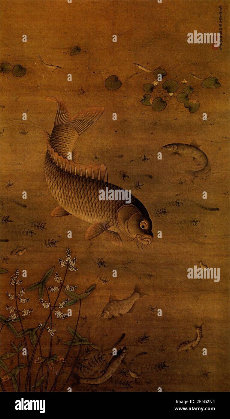 Miao Fu-Fish and Aquatic Grass Stock Photo - Alamy