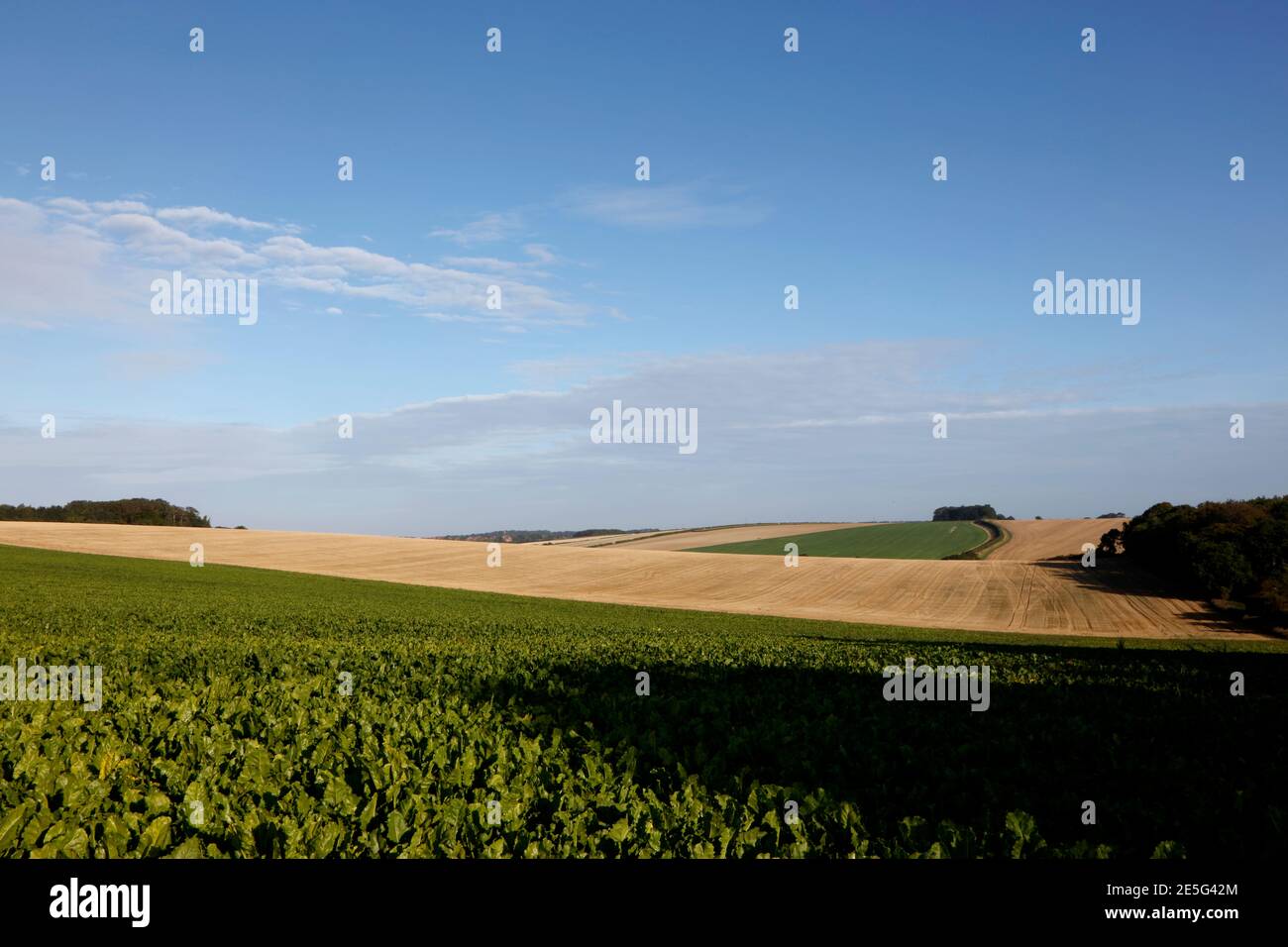 Sedgeford norfolk hi-res stock photography and images - Alamy