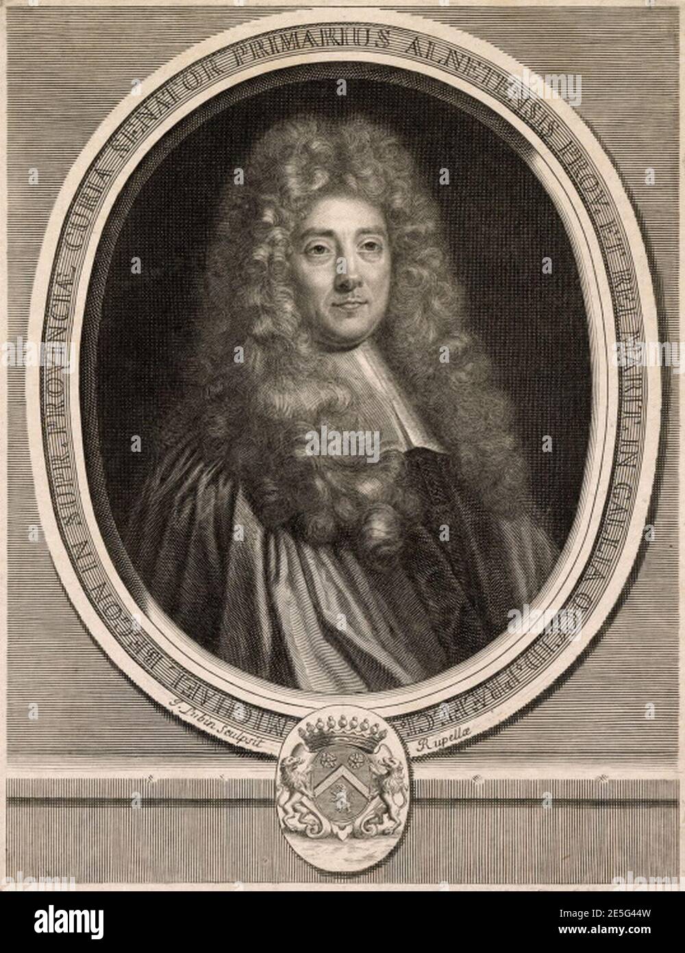 Begon hi-res stock photography and images - Alamy