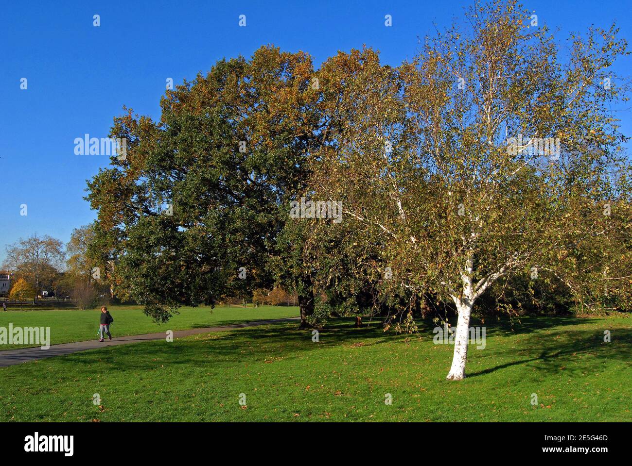 Open air at the public park hi-res stock photography and images - Alamy