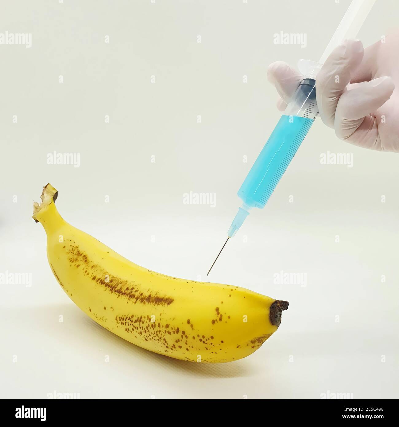 GMO Fruit(Plant) is injected with vaccine using biotechnology Stock ...
