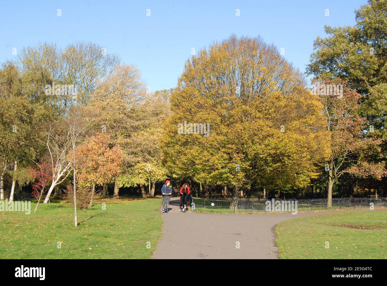 Peckham Rye Park Stock Photo - Alamy