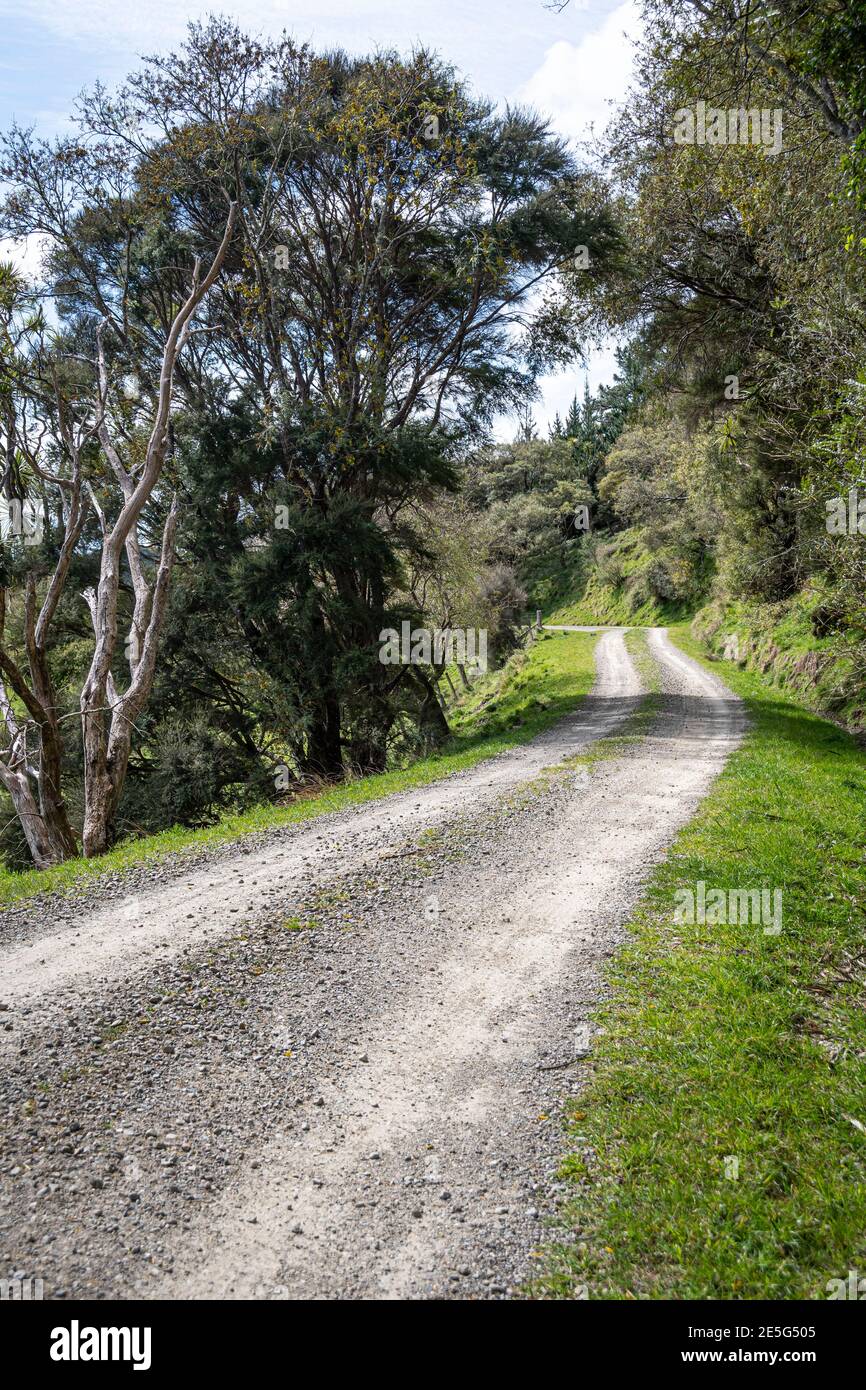Country road near Pongaroa, Tararua District, North Island, New Zealand ...