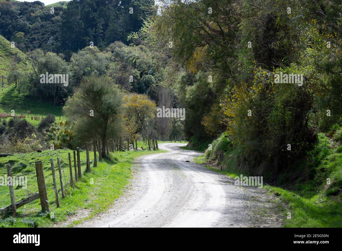 Country road near Pongaroa, Tararua District, North Island, New Zealand ...