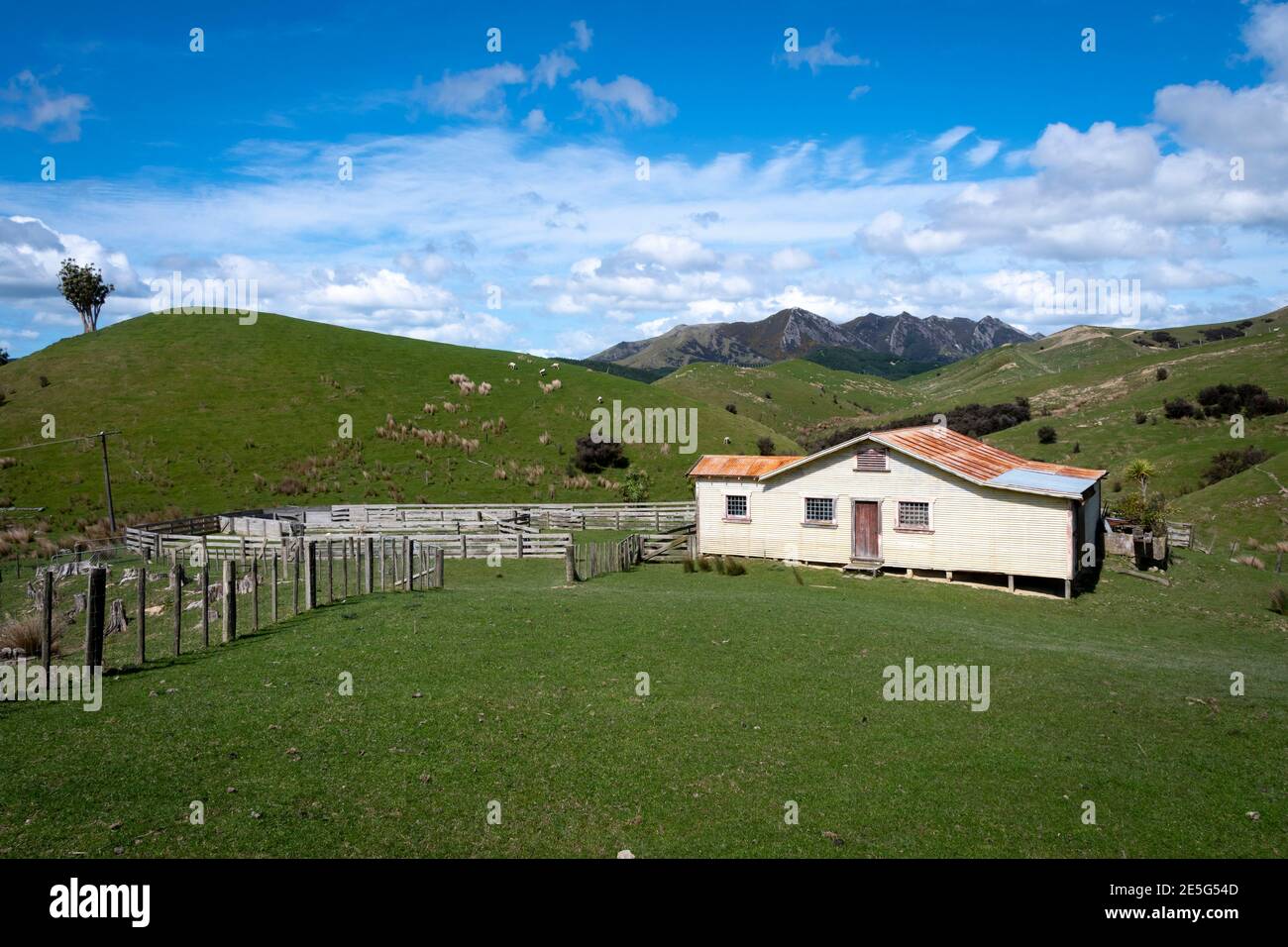 Tararua district hi-res stock photography and images - Alamy