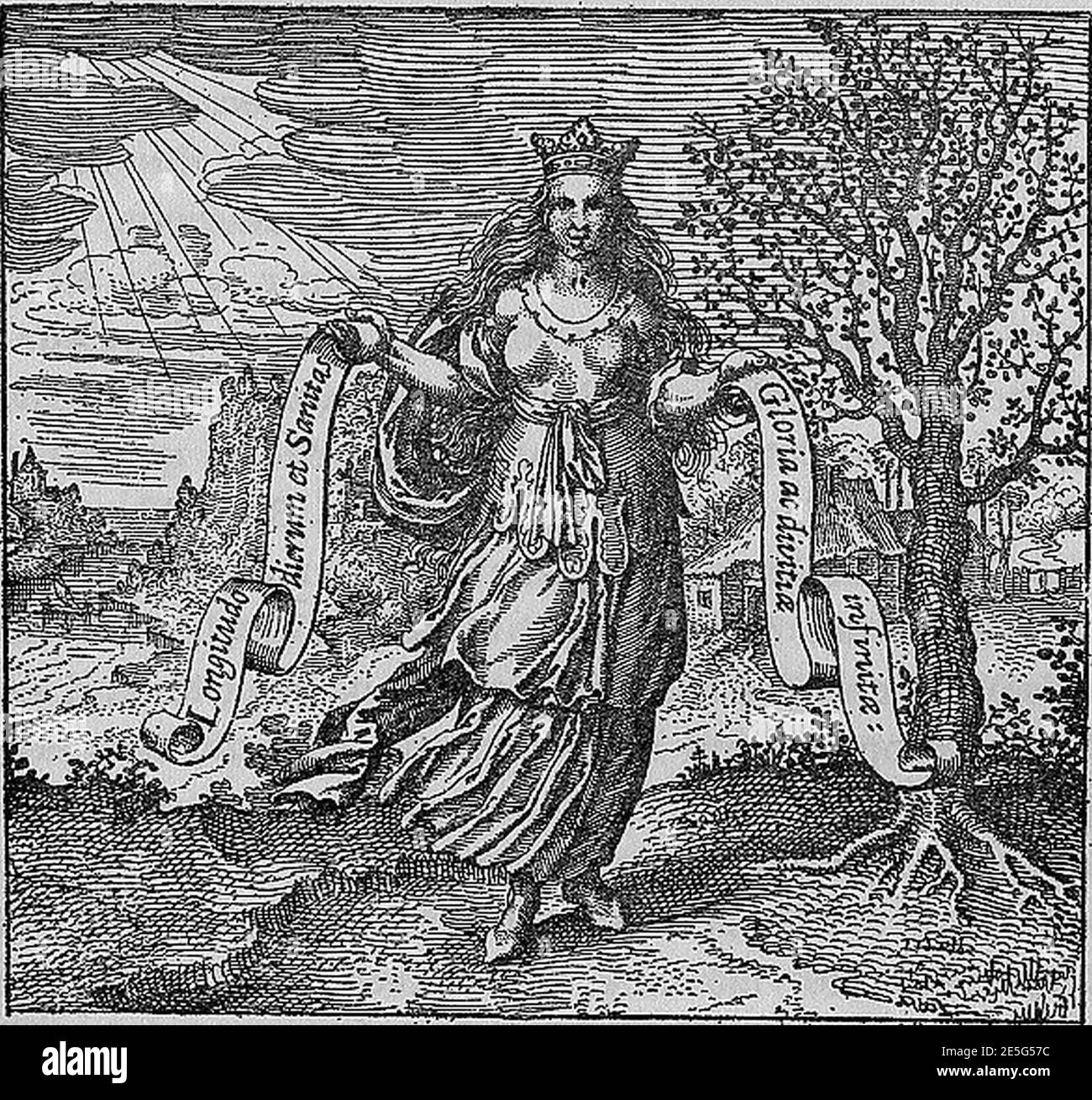 Atalanta fugiens hi-res stock photography and images - Alamy