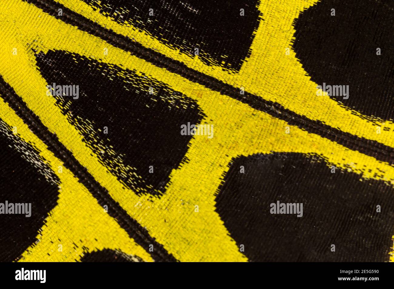 Butterfly wing pattern hi-res stock photography and images - Alamy