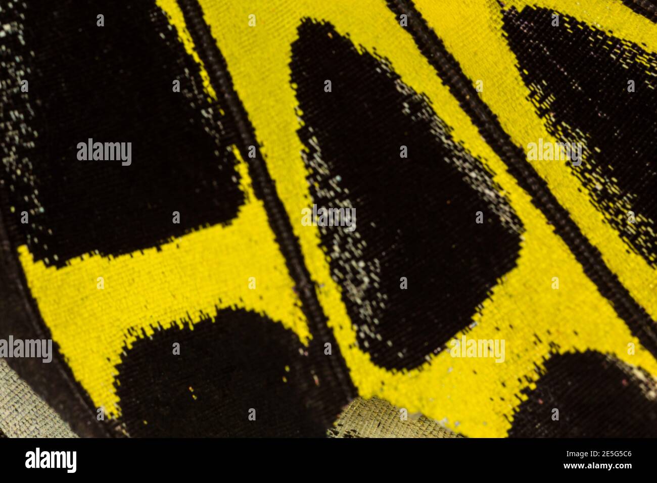 Butterfly wing pattern background Stock Photo - Alamy