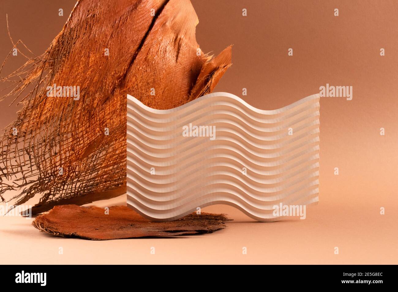 Still life composition with natural palm tree bark and wavy shape in ...