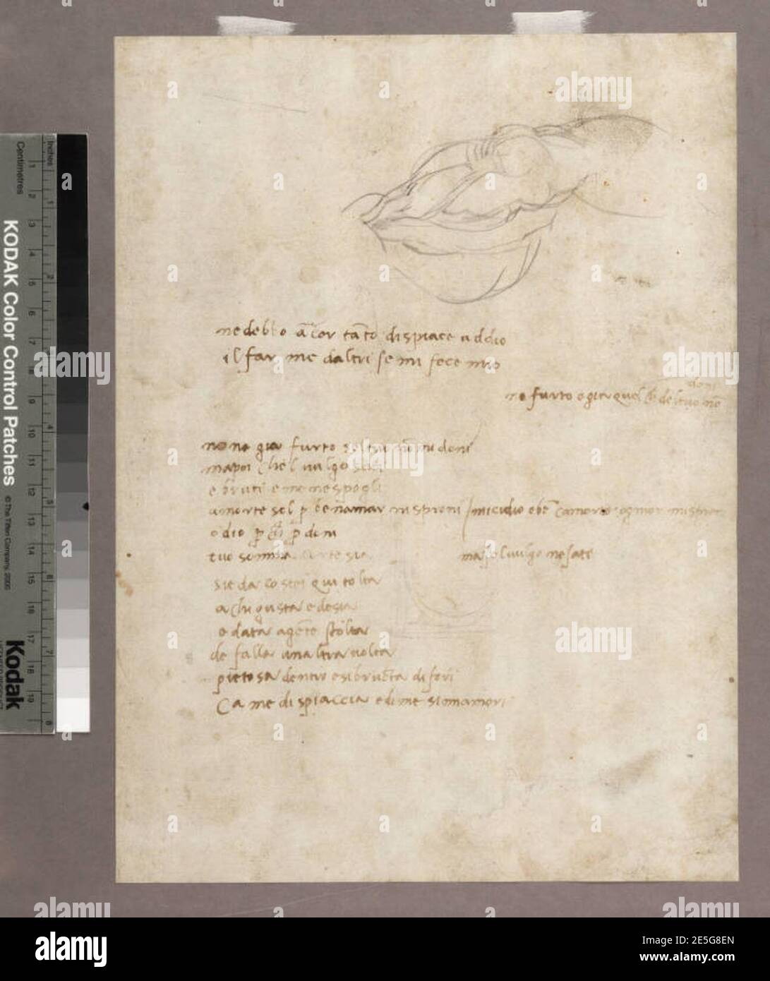 Michelangelo - Drawing of left leg and 15 lines of verse, mssHM 36088 ...