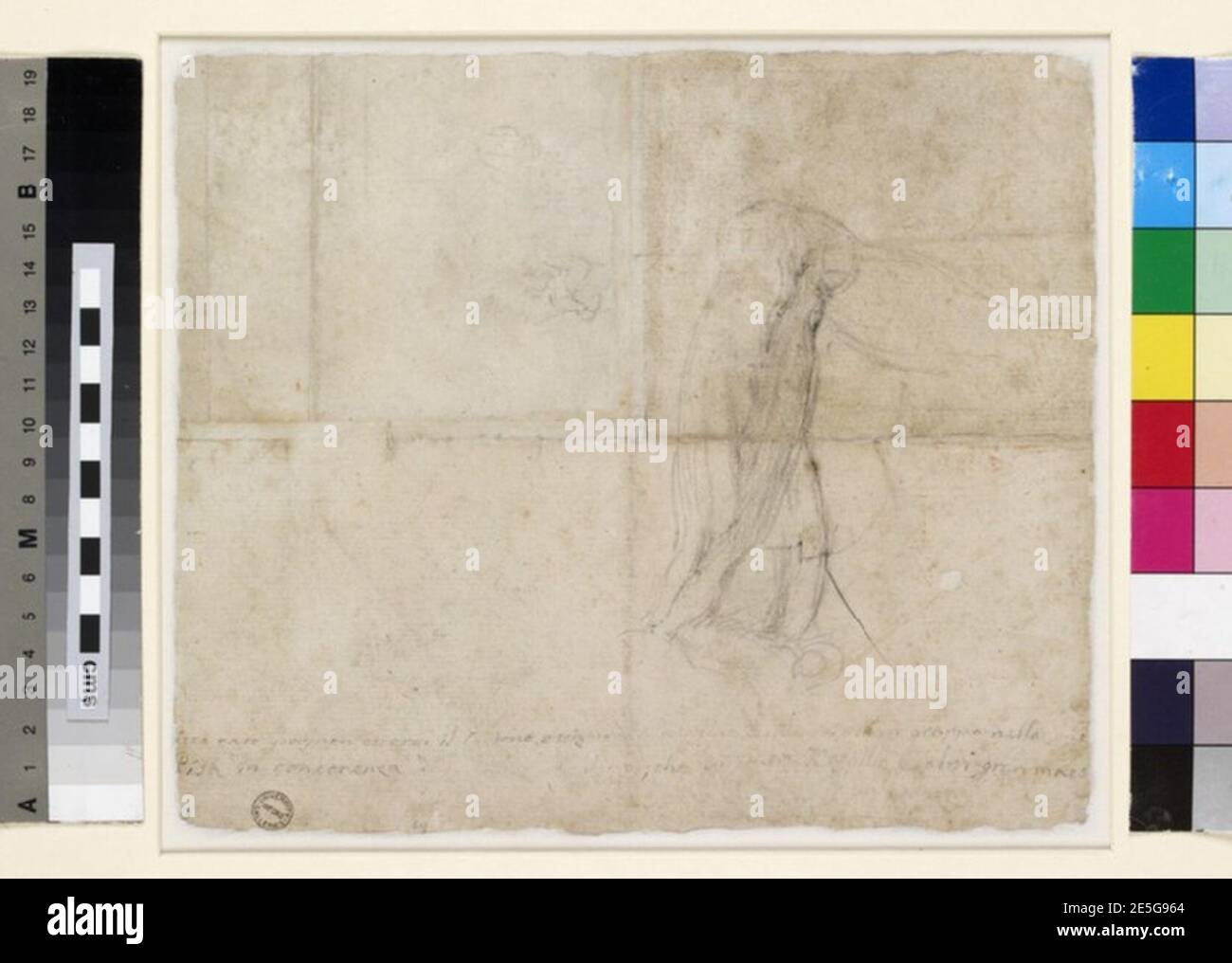 Michelangelo - Verso Anatomical Study of a Leg, and very slight Figure ...