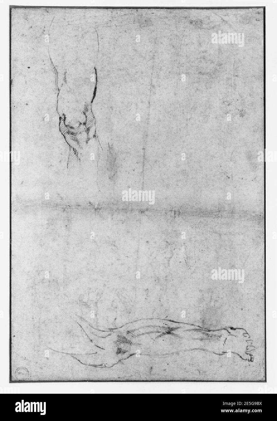 A leg verso hi-res stock photography and images - Alamy