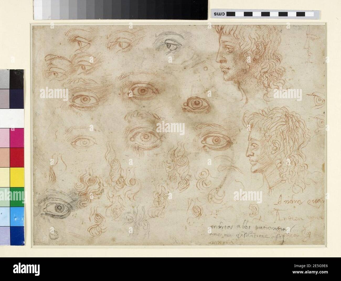 Michelangelo - Verso Various sketches of Eyes and Head profiles, WA1846 ...