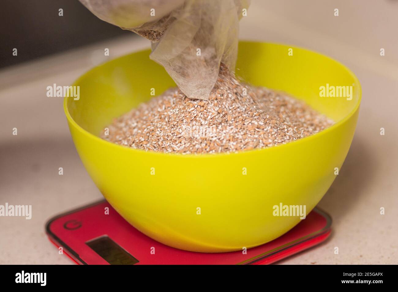 man weighs malt for brewing beer on scale Stock Photo - Alamy