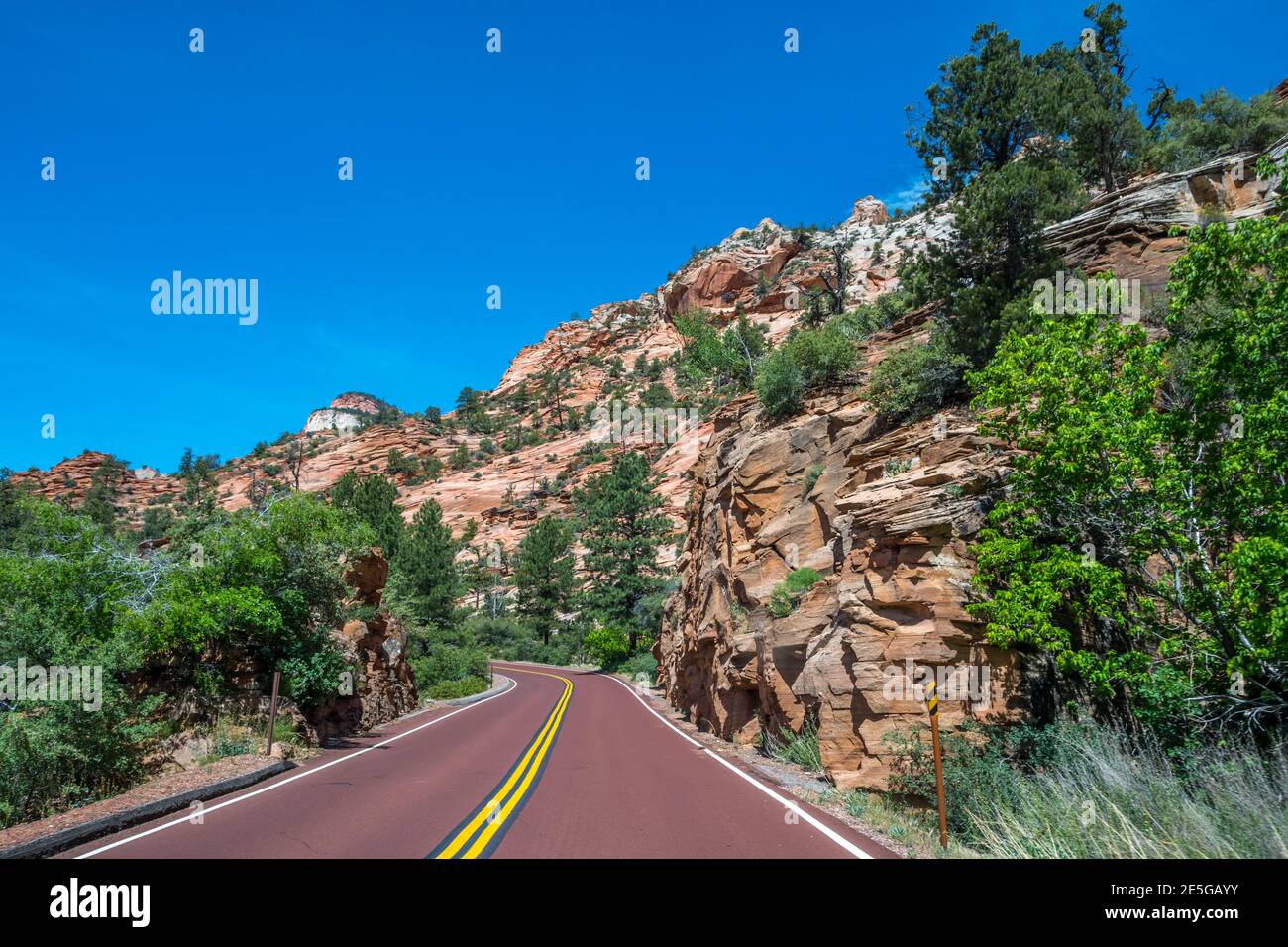 Road going to zion national park hi-res stock photography and images ...